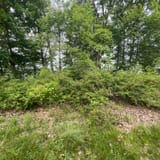 Fort Foote Civil War Ruins, Maryland - 170 Reviews, Map | AllTrails