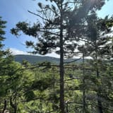 Gorge Path Trail, Maine - 817 Reviews, Map | AllTrails