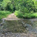 Pierce Lake Trail, Illinois - 942 Reviews, Map | AllTrails
