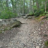 Reeves Brook Loop Trail, New York - 4,817 Reviews, Map | AllTrails