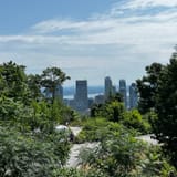 Mount Royal Park Loop, Quebec, Canada - 2,073 Reviews, Map | AllTrails