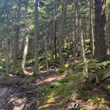 Haystack Mountain Trail, Vermont - 2,141 Reviews, Map | AllTrails