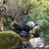 Banhoek Conservancy Waterfall Hike, Western Cape, South Africa - 147 ...