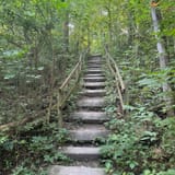 Metea Park North Loop, Indiana - 712 Reviews, Map | AllTrails