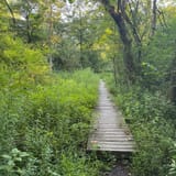 Metea Park North Loop, Indiana - 712 Reviews, Map | AllTrails