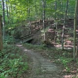 Metea Park North Loop, Indiana - 712 Reviews, Map | AllTrails