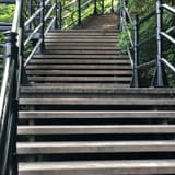 Mount Royal Park Loop, Quebec, Canada - 2,105 Reviews, Map | AllTrails