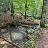 Long Branch Loop Trail, Georgia - 2,375 Reviews, Map | AllTrails