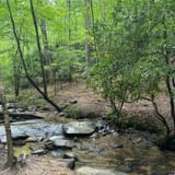 Long Branch Loop Trail, Georgia - 2,375 Reviews, Map | AllTrails