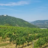 Vienna City Hiking Trail 1, Vienna, Austria - 469 Reviews, Map | AllTrails