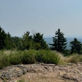 Mount Watatic, Massachusetts - 1,656 Reviews, Map | AllTrails