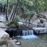 Eaton Canyon Trail, California - 13,431 Reviews, Map | AllTrails