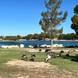 Apollo Park Trail, California - 180 Reviews, Map | AllTrails