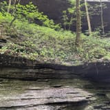 Busby and Machine Falls Loop, Tennessee - 2,193 Reviews, Map | AllTrails