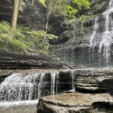 Busby and Machine Falls Loop, Tennessee - 2,193 Reviews, Map | AllTrails