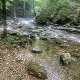 Busby and Machine Falls Loop, Tennessee - 2,193 Reviews, Map | AllTrails