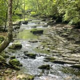 Busby and Machine Falls Loop, Tennessee - 2,193 Reviews, Map | AllTrails