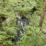 Busby and Machine Falls Loop, Tennessee - 2,193 Reviews, Map | AllTrails