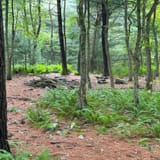 Lehigh Gap via Appalachian Trail, Pennsylvania - 281 Reviews, Map ...