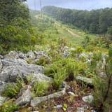 Lehigh Gap via Appalachian Trail, Pennsylvania - 281 Reviews, Map ...