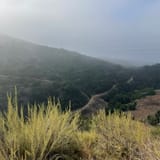 Powder Canyon Loop Trail, California - 2,410 Reviews, Map | AllTrails