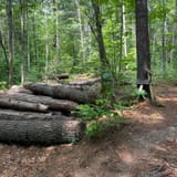 Big Berea Trail, Bull Creek Trail, and White Pine Loop, North Carolina ...