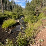 Government Springs 95A, Arizona - 655 Reviews, Map | AllTrails