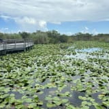 Anhinga Trail, Florida - 1,873 Reviews, Map | AllTrails