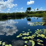 Anhinga Trail, Florida - 1,873 Reviews, Map | AllTrails