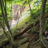 Crabtree Falls Trail, Virginia - 2,347 Reviews, Map | AllTrails