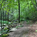 Diamond Notch Falls via Diamond Notch Road, New York - 898 Reviews, Map ...