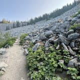 Ira Spring Memorial Trail, Washington - 2,376 Reviews, Map | AllTrails