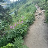 Ira Spring Memorial Trail, Washington - 2,329 Reviews, Map | AllTrails