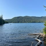 Lost Lake Loop (Lakeshore Trail), Oregon - 632 Reviews, Map | AllTrails