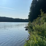 Lost Lake Loop (Lakeshore Trail), Oregon - 632 Reviews, Map | AllTrails
