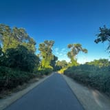 American River Bike Trail (Jedediah Smith Memorial Trail), California ...
