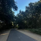 American River Bike Trail (Jedediah Smith Memorial Trail), California ...