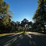 American River Bike Trail (Jedediah Smith Memorial Trail), California ...