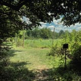 Harriet Wetherill Park Loop, Pennsylvania - 108 Reviews, Map | AllTrails
