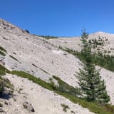 Loowit Loop, Washington - 455 Reviews, Map | AllTrails