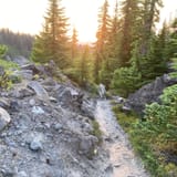 Loowit Loop, Washington - 455 Reviews, Map | AllTrails