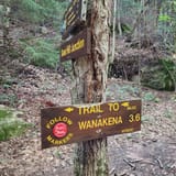 Cat Mountain Trail, New York - 218 Reviews, Map | AllTrails