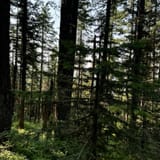 Mount Kit Carson Trail, Washington - 1,046 Reviews, Map | AllTrails