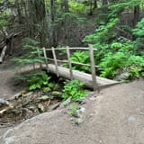 Mount Kit Carson Trail, Washington - 1,034 Reviews, Map | AllTrails