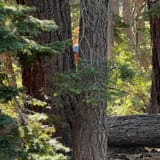 Fallen Leaf Lake Trail, California - 1,475 Reviews, Map | AllTrails