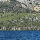 Fallen Leaf Lake Trail, California - 1,475 Reviews, Map | AllTrails