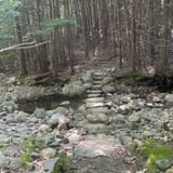 Kebo Brook Trail, Maine - 68 Reviews, Map | AllTrails