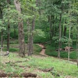 White Bison Loop, Missouri - 2,574 Reviews, Map | AllTrails