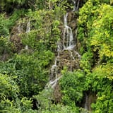 Gorman Falls Trail, Texas - 1,164 Reviews, Map | AllTrails