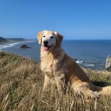 Blacklock Point Trail, Oregon - 398 Reviews, Map | AllTrails